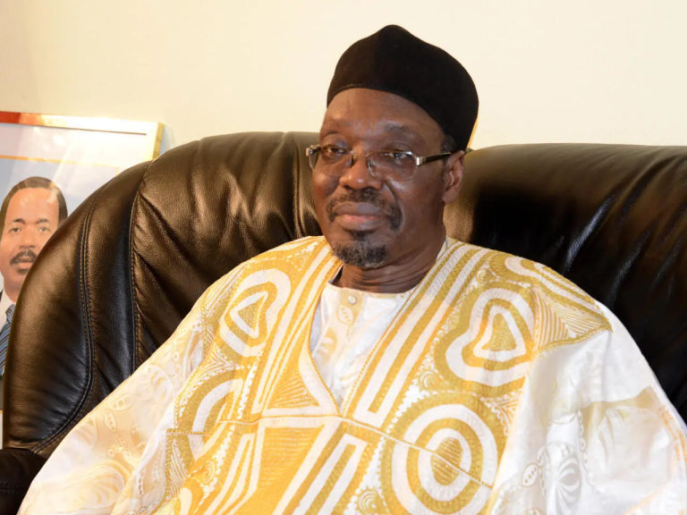 Issa Tchiroma, Candidat du Front pour le salut national du Cameroun